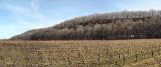 Exploring Niagara | The Niagara Escarpment